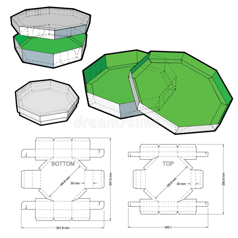 Octagonal Packaging Box Die Cut Template Stock Vector - Illustration of ...