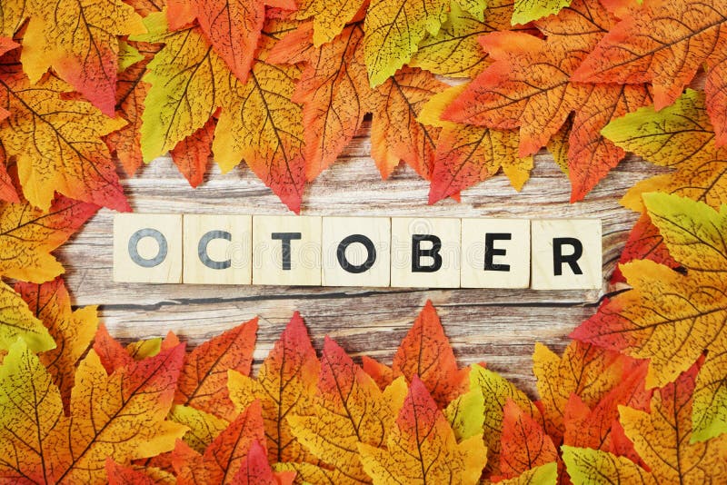 October Alphabet Letter with Maple Leaves Frame on Wooden Background ...