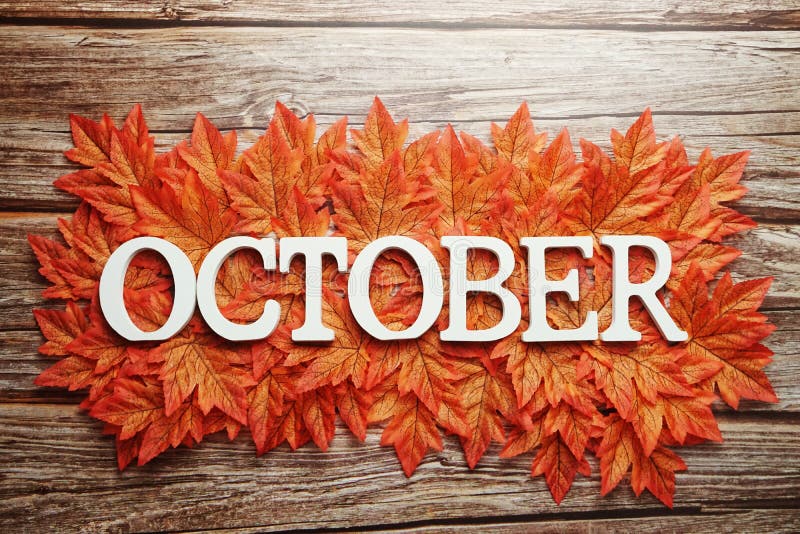 October Alphabet Letter with Maple Leaves Frame on Wooden Background ...