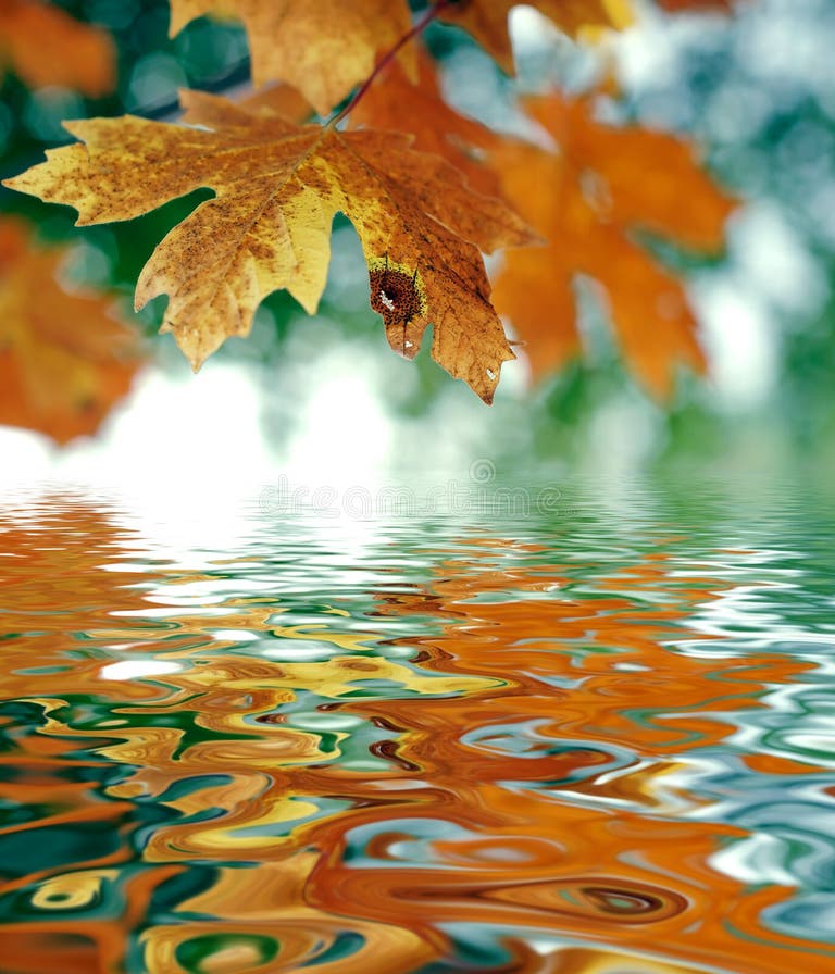 1,817 Atumn 23556 Stock Photos - Free & Royalty-Free Stock Photos from ...