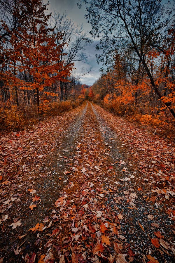 October autumn scene stock image. Image of leaves, landscape - 21788825