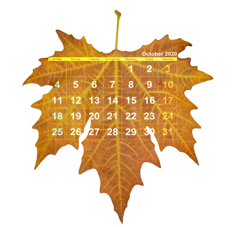 Calendar on Leaf September October 2020 Flying Falling Isolated - 3d ...