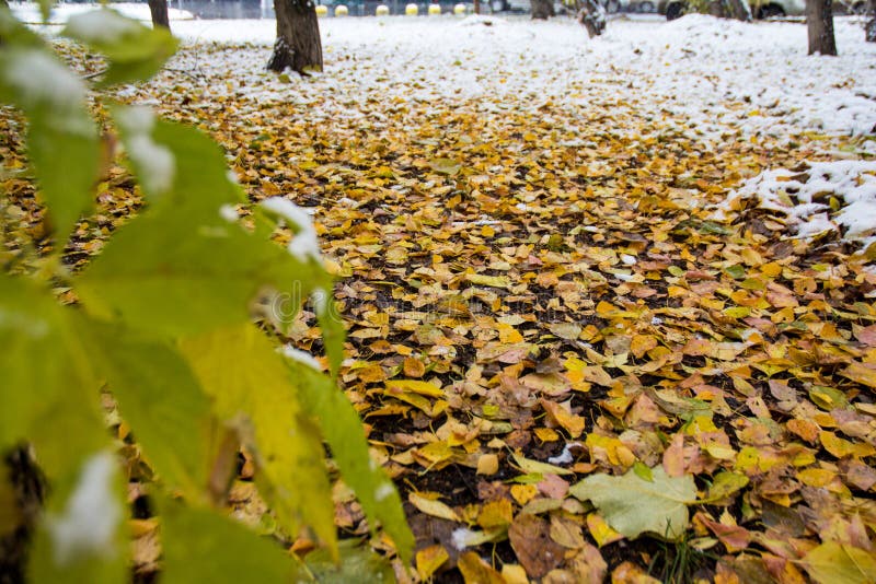 October City of Park Forest with First Winter Snow Stock Image - Image ...