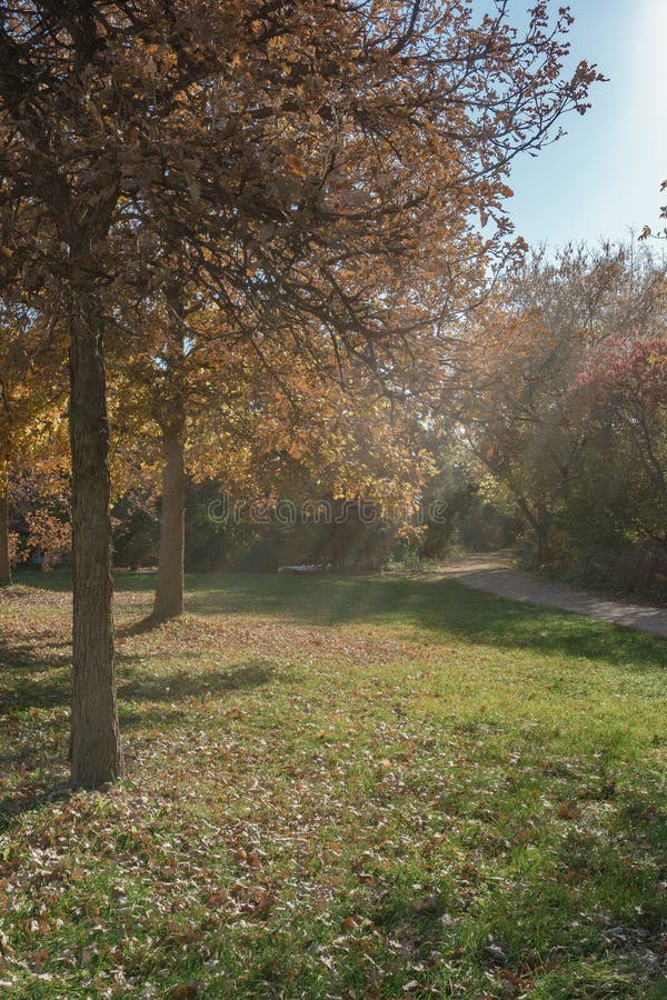 October Clearing Under the Slanting Rays of the Morning Sun Stock Photo ...