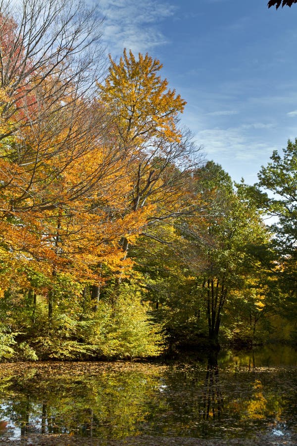 October colors stock photo. Image of trees, fall, nature - 21558558