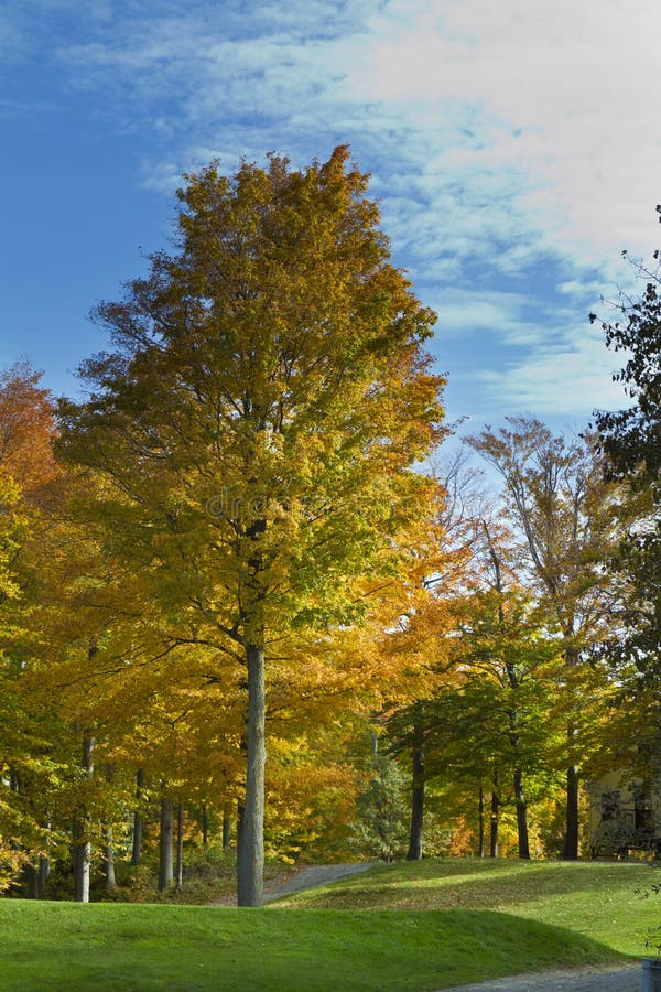 October colors stock image. Image of autumn, landscape - 21560017