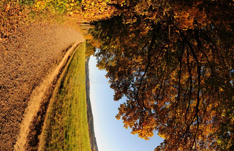 October day stock image. Image of yellow, autum, forest - 6739977