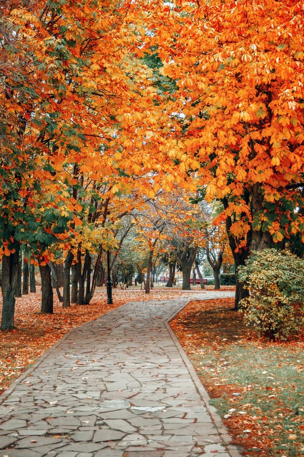 October Day in Colorful Park Stock Image - Image of autumnal, orange ...