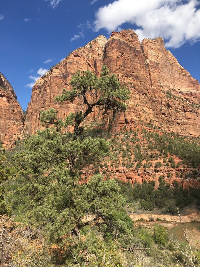 October at Zion National Park, Utah. Stock Image - Image of autumn ...