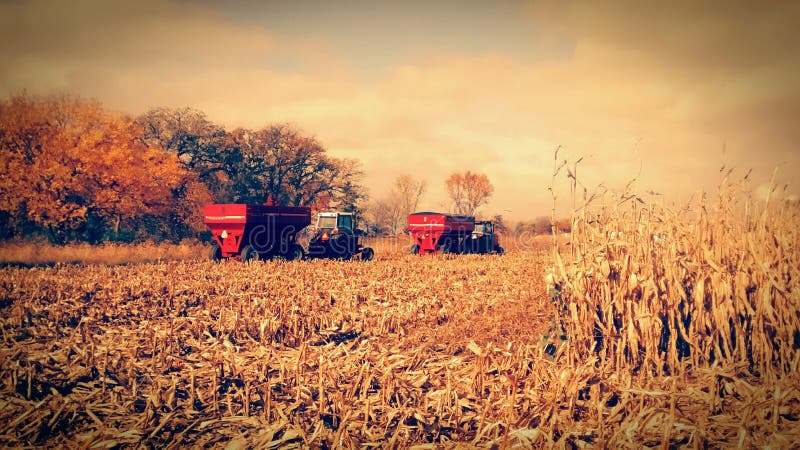 October Harvest stock photo. Image of field, tractor - 88306014