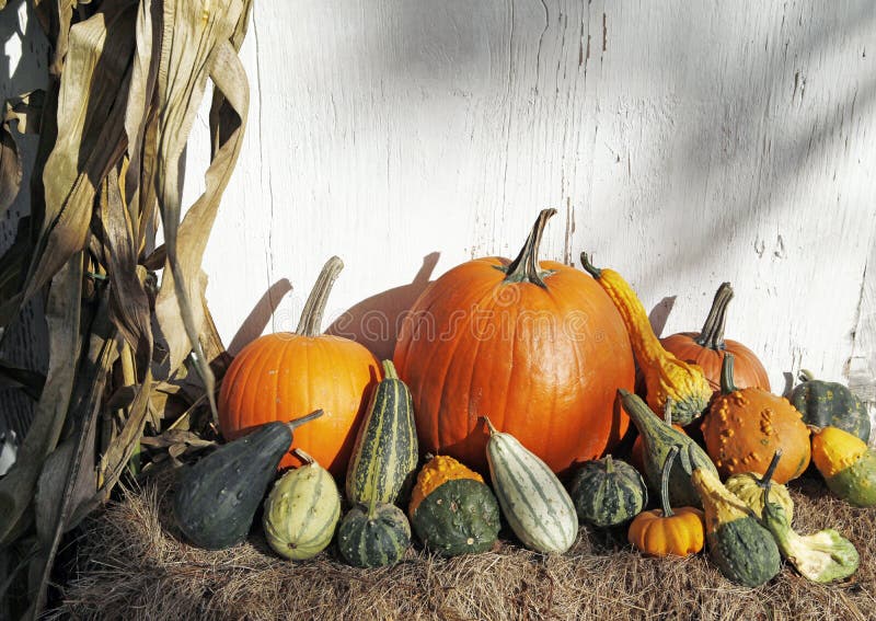 October harvest stock photo. Image of food, holiday, agriculture - 34534048