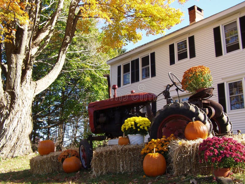 October Lawn stock image. Image of mums, chrysanthemums - 1374427