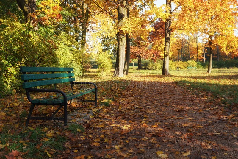 October Morning in the Park, Bench among Fallen Autumn Leaves Stock ...