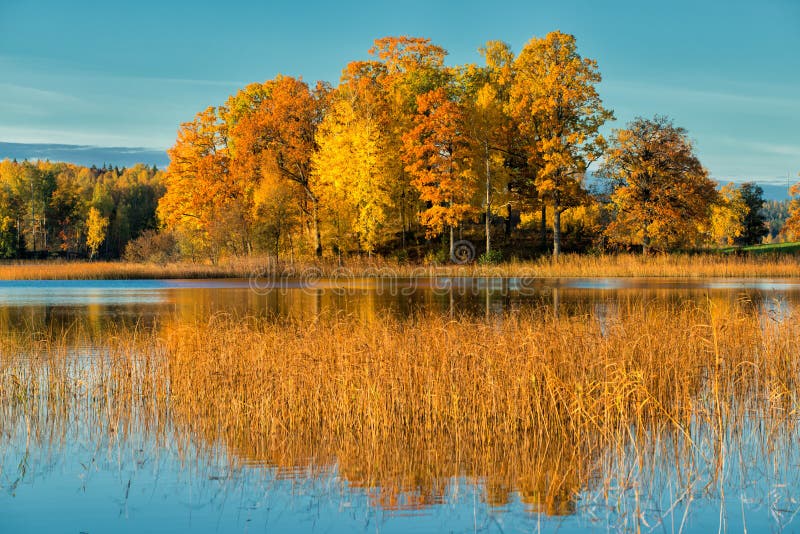 October morning in Sweden stock photo. Image of october - 34705698