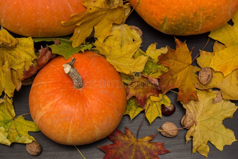 October Nature Concept with Pumpkins, Walnuts and Autumn Leaves Stock ...