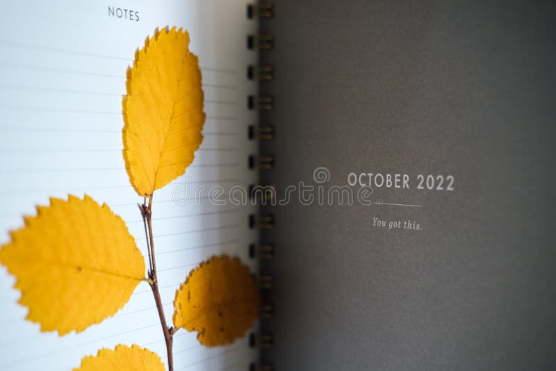 October 2022 Plan Page in Open Notebook Organizer Calendar with Dry ...