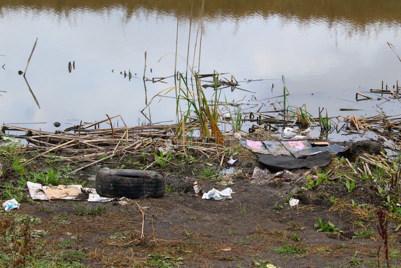 October 29, 2019 Polluted Environment. Big Problems in the Field of ...