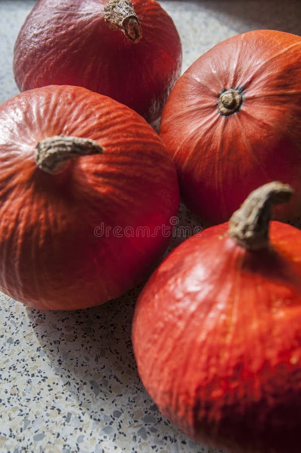 October pumpkin stock image. Image of seed, orange, healthy - 78840509