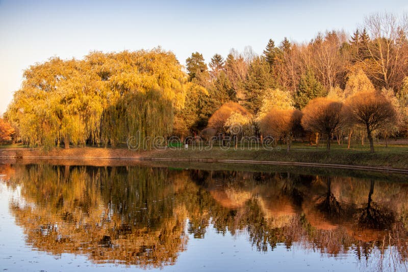 The Steady River stock photo. Image of trees, color - 100068976