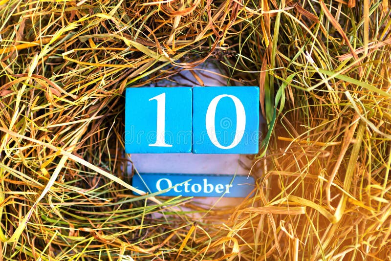 2,381 October 10th Stock Photos - Free & Royalty-Free Stock Photos from ...