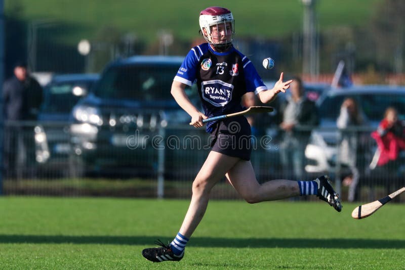 Cork Camogie Senior Championship Final: Inniscarra 0-15 Vs Sarsfields 3 ...