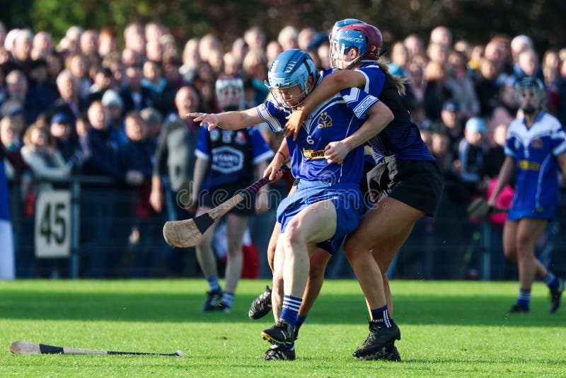 Cork Camogie Senior Championship Final: Inniscarra 0-15 Vs Sarsfields 3 ...