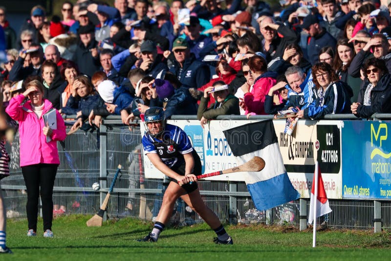 Cork Camogie Senior Championship Final: Inniscarra 0-15 Vs Sarsfields 3 ...