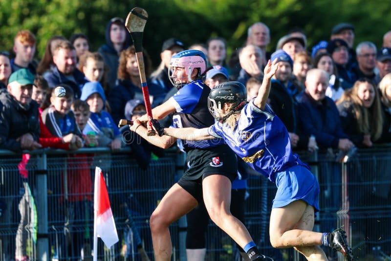 Cork Camogie Senior Championship Final: Inniscarra 0-15 Vs Sarsfields 3 ...