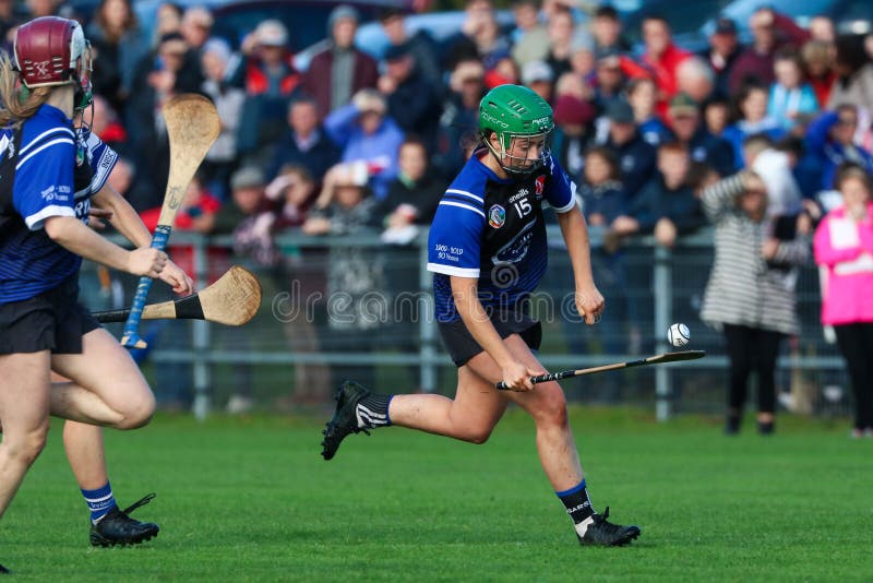 Cork Camogie Senior Championship Final: Inniscarra 0-15 Vs Sarsfields 3 ...