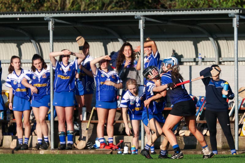 Cork Camogie Senior Championship Final: Inniscarra 0-15 Vs Sarsfields 3 ...