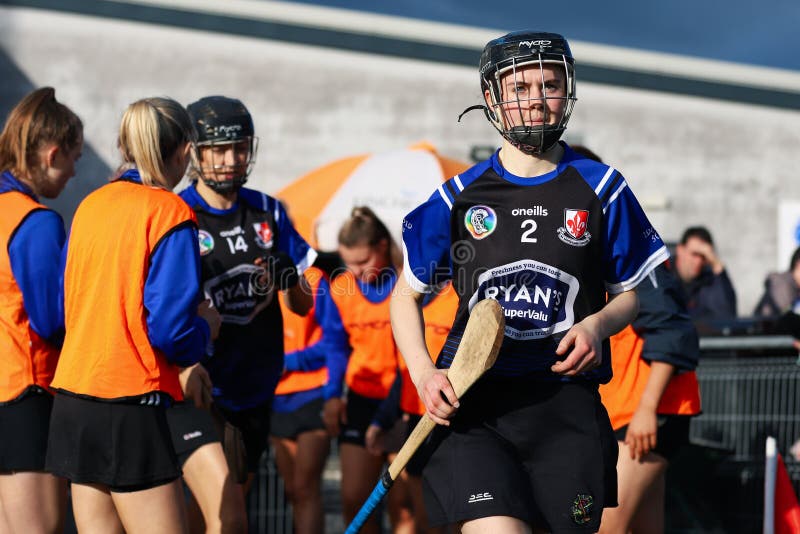 Cork Camogie Senior Championship Final: Inniscarra 0-15 Vs Sarsfields 3 ...