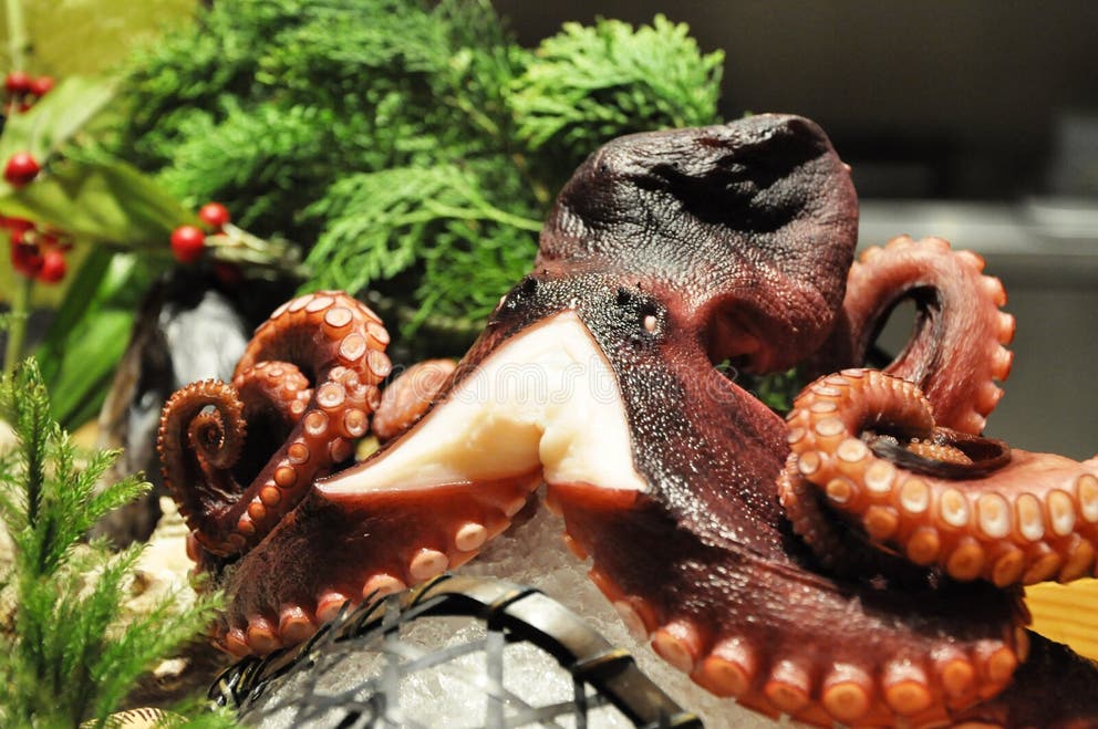 Octopus stock photo. Image of restaurent, octopus, paul - 16973372