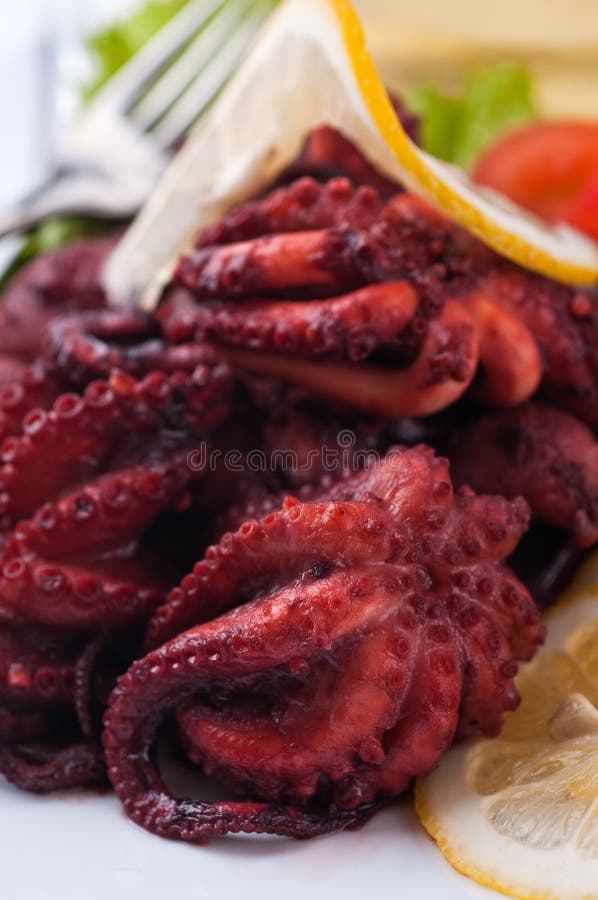 Octopus stock image. Image of fresh, dinner, colorful - 18095751