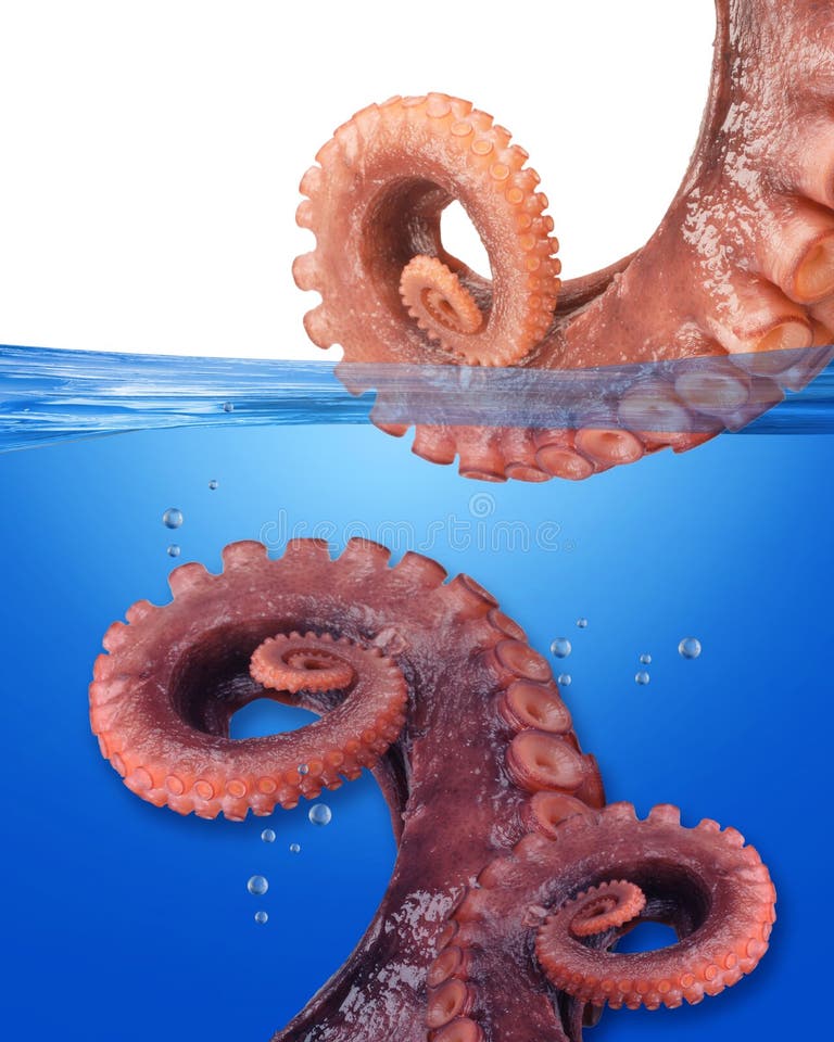 Scary Giant Octopus Stock Photos - Free & Royalty-Free Stock Photos ...