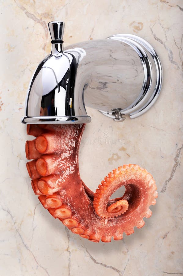 Octopus Arm in Faucet of Tap Stock Photo - Image of scary, suction ...