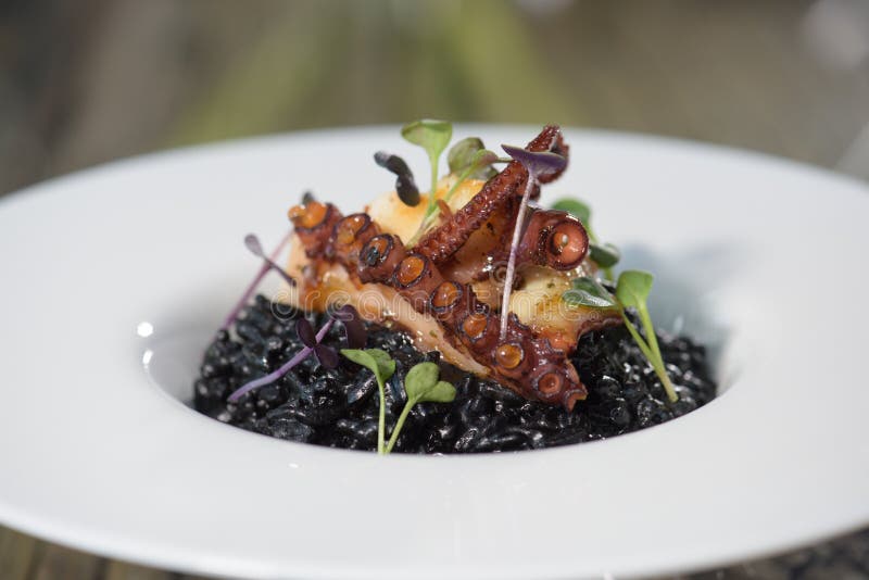 Octopus with Black Rice and Herbs Stock Photo - Image of dinner, leaves ...