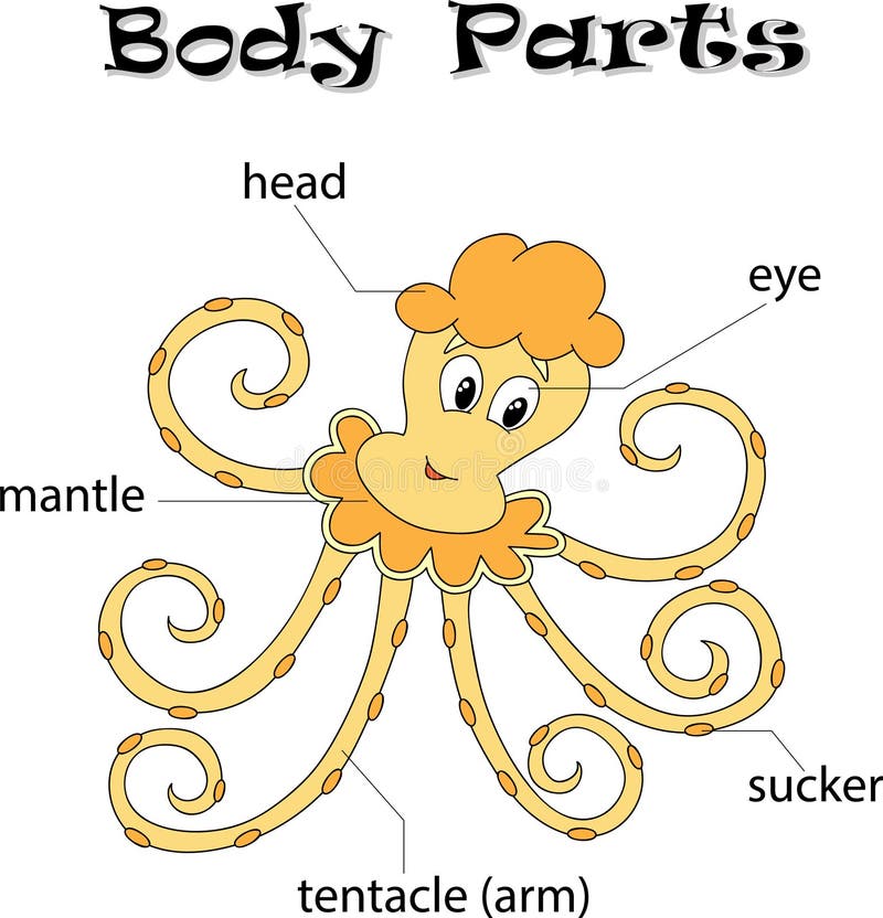 Octopus Poster Stock Illustrations – 5,522 Octopus Poster Stock ...