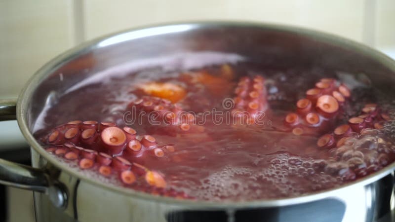 Red Octopus Boiling in the Pot. Close Up Stock Footage - Video of ...