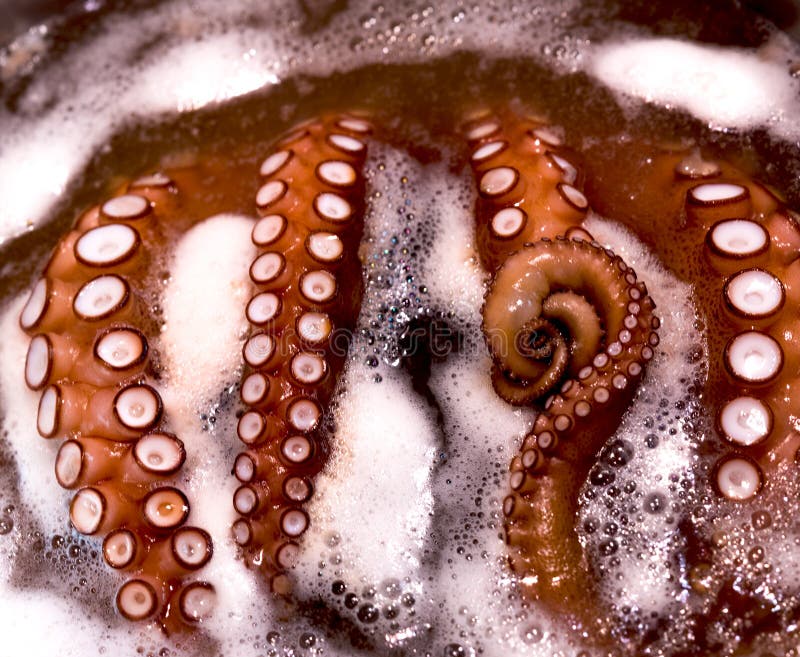 Octopus in boiling water stock photo. Image of food, octopus - 49524234