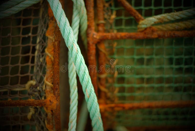 Octopus cages stock image. Image of food, ocean, mesh - 128883713