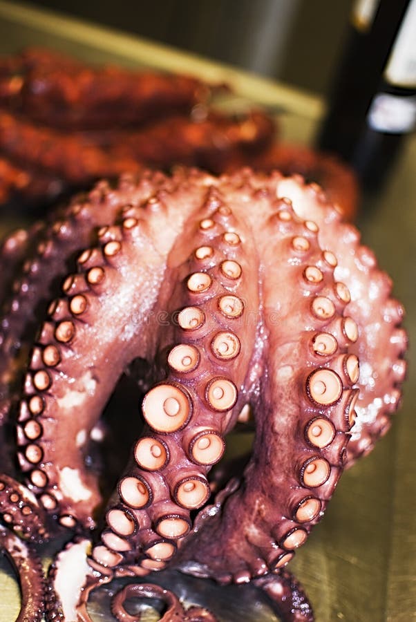 Octopus cooked stock image. Image of tentacles, delicious - 29609175