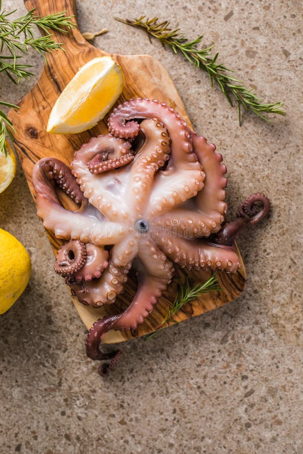 Octopus Cooked with Chopped Herbs Served on a Board Stock Image - Image ...