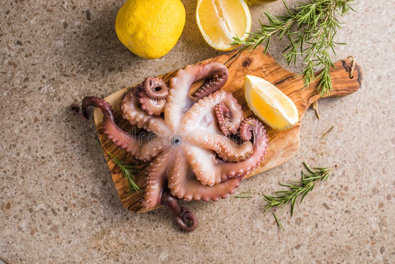 Octopus Cooked with Chopped Herbs Served on a Board Stock Image - Image ...