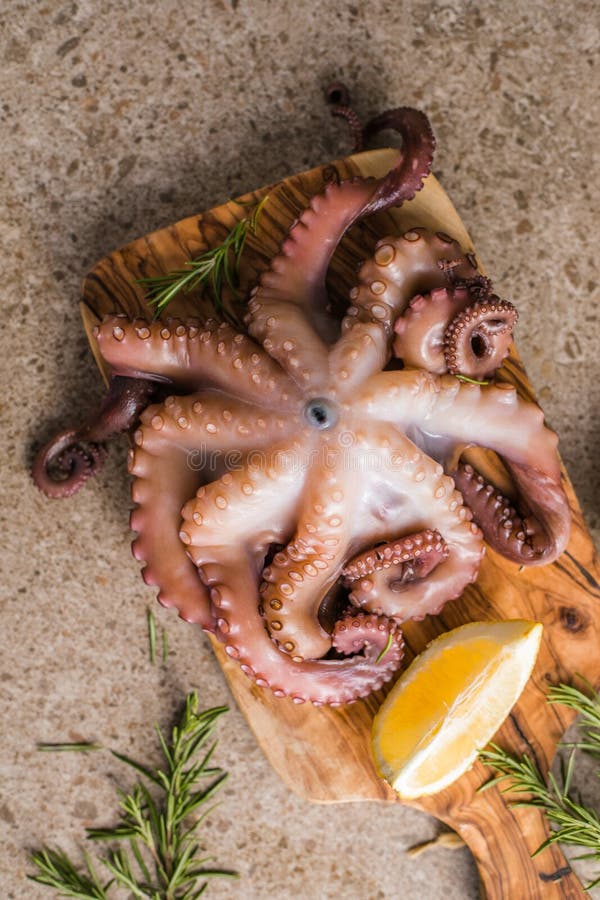 Octopus Cooked with Chopped Herbs Served on a Board Stock Photo - Image ...