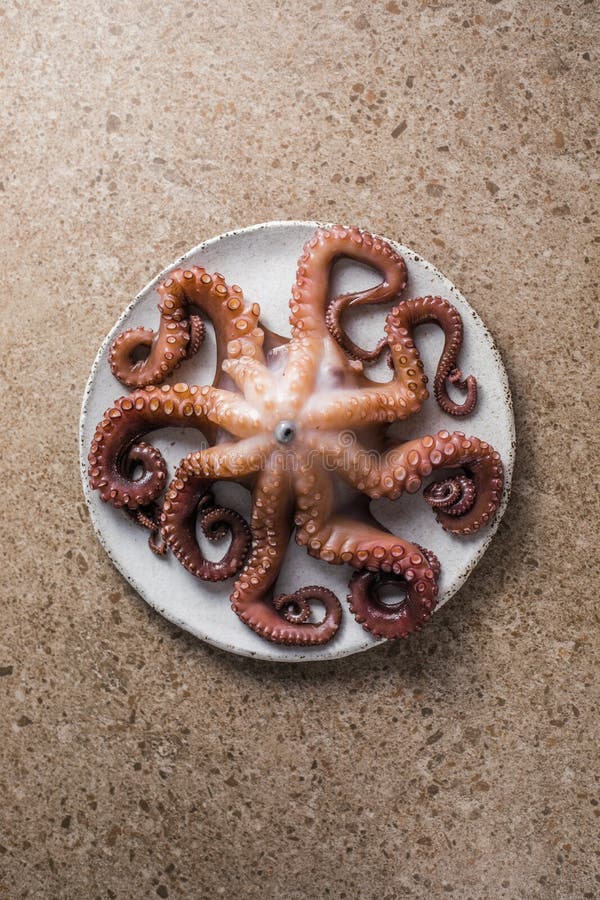 Octopus Cooked with Chopped Herbs Served on a Plate Stock Photo - Image ...