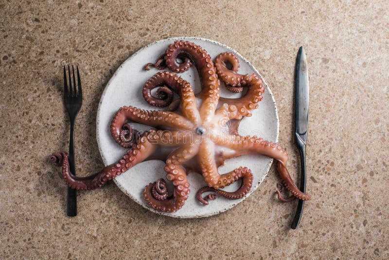 Octopus Cooked with Chopped Herbs Served on a Plate Stock Photo - Image ...