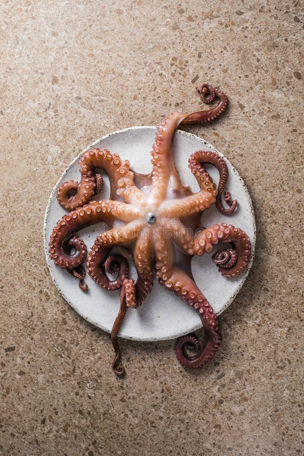 Octopus Cooked with Chopped Herbs Served on a Plate Stock Image - Image ...