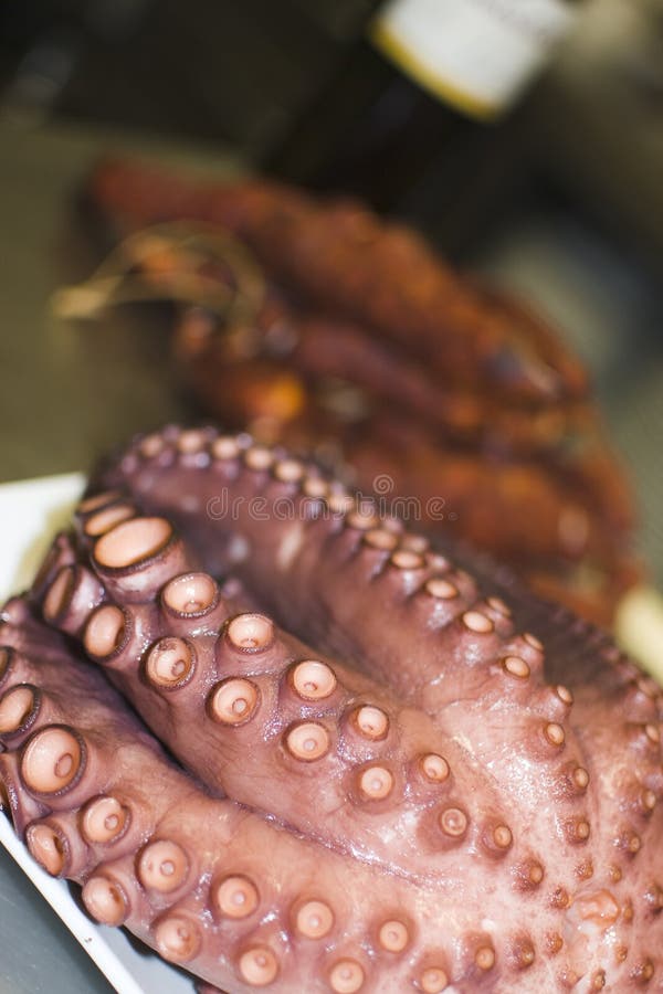 Octopus stock photo. Image of manners, kitchen, delicious - 29902946