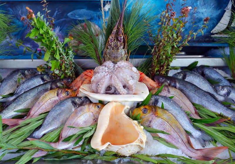 Octopus on display stock photo. Image of pink, fresh - 38774216