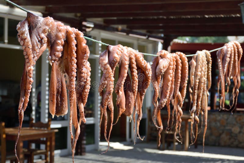 Octopus Dried on the Sun. Seafood, Crete Island Stock Photo - Image of ...